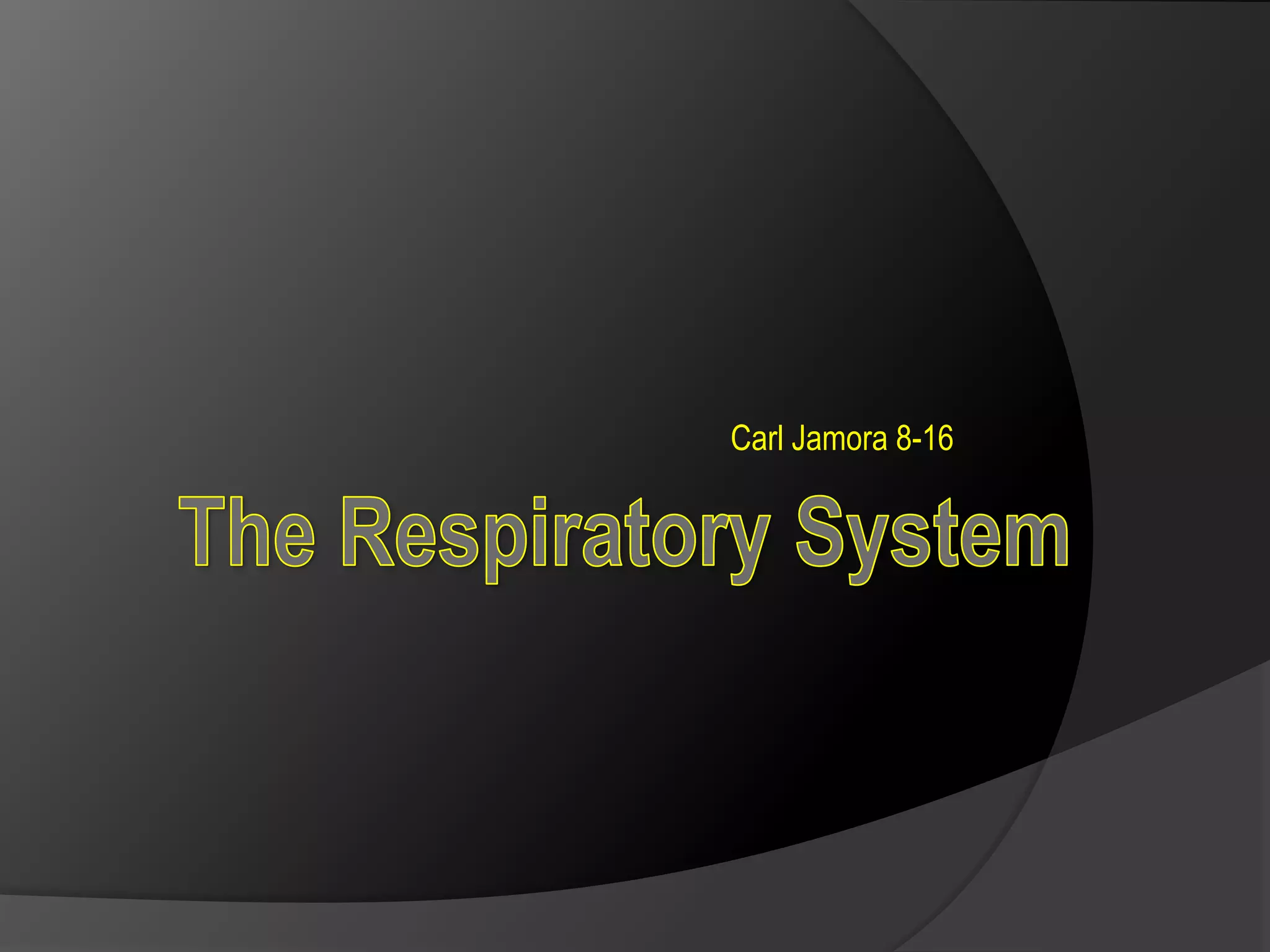 The Respiratory System | PPT