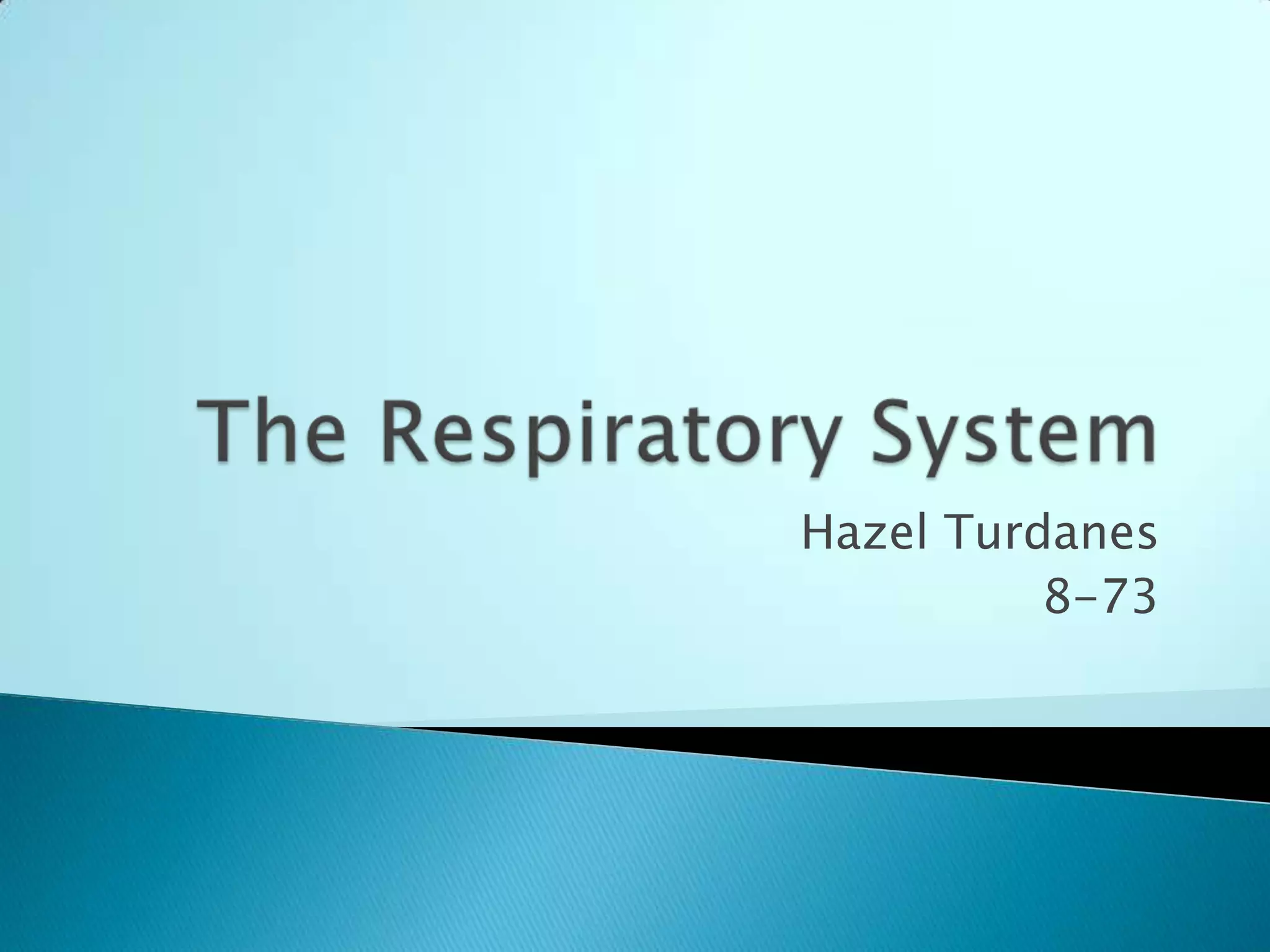The respiratory system | PPT