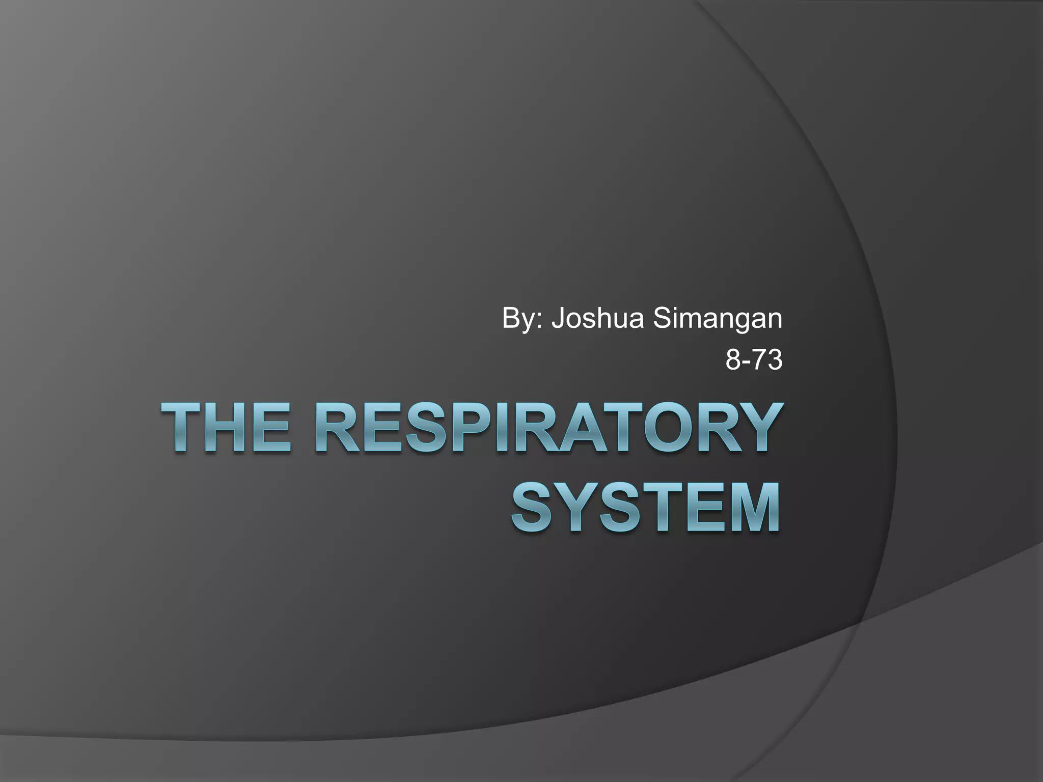 The Respiratory System | PPT