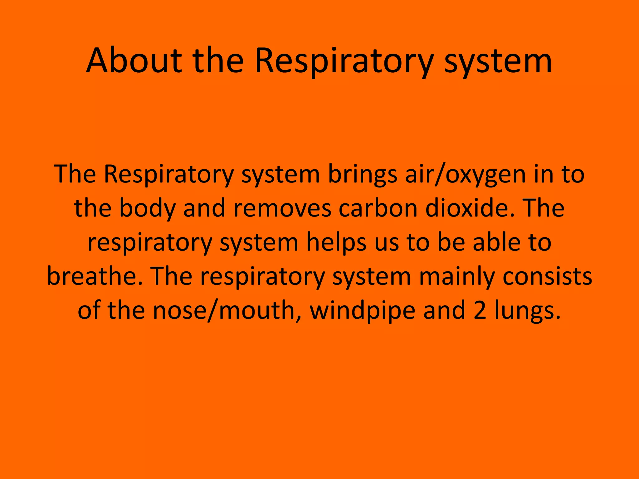 The respiratory system | PPT