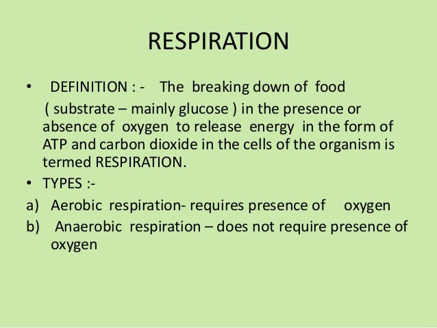 The respiratory system
