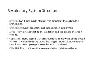 Therespiratorysystem/dhsani/geb,sust | PPTX