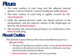 therespiratorysystem-130524022043-phpapp01.pptx