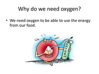 The respiratory system | PPTX