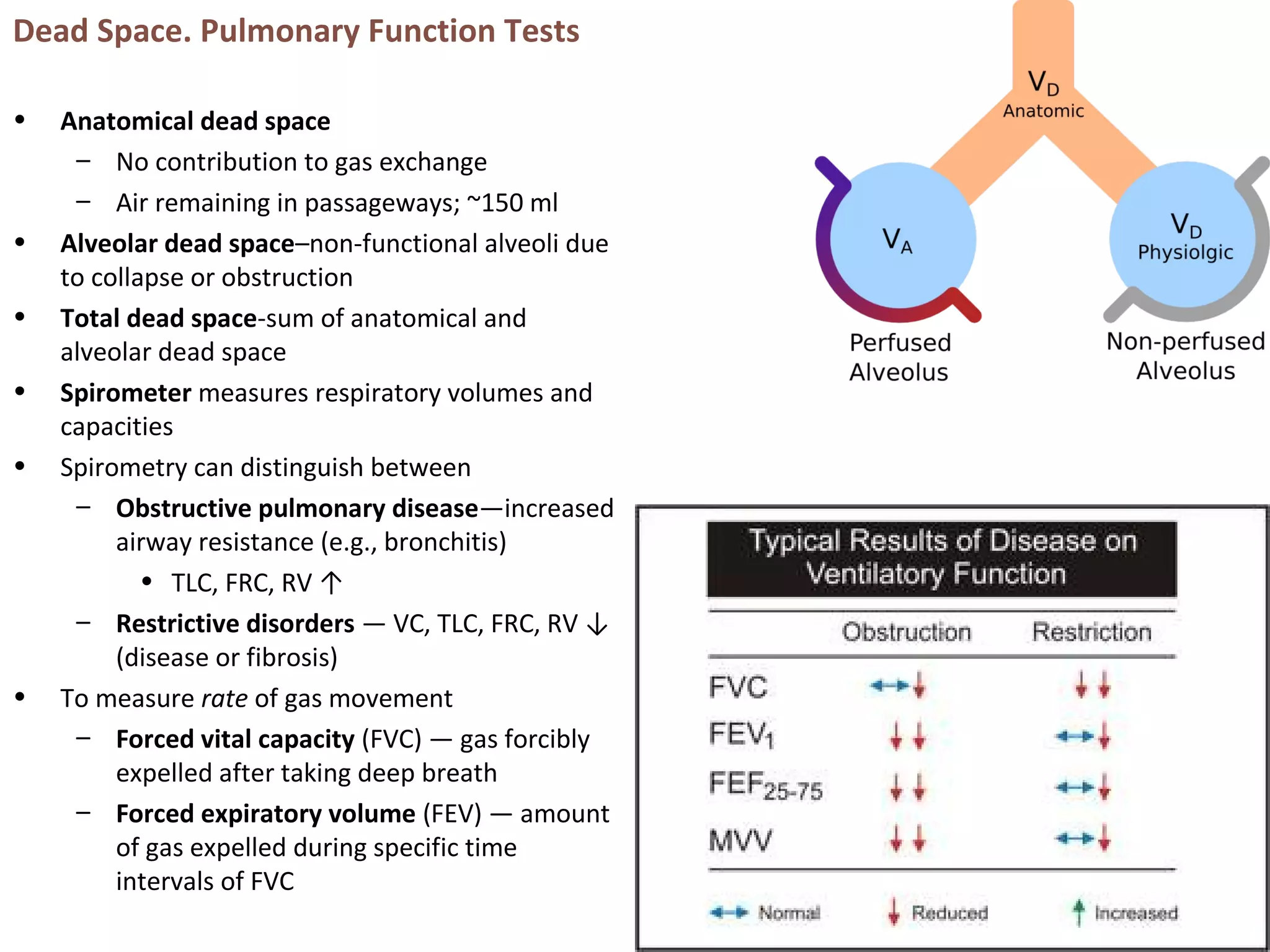 The respiratory system | PPT