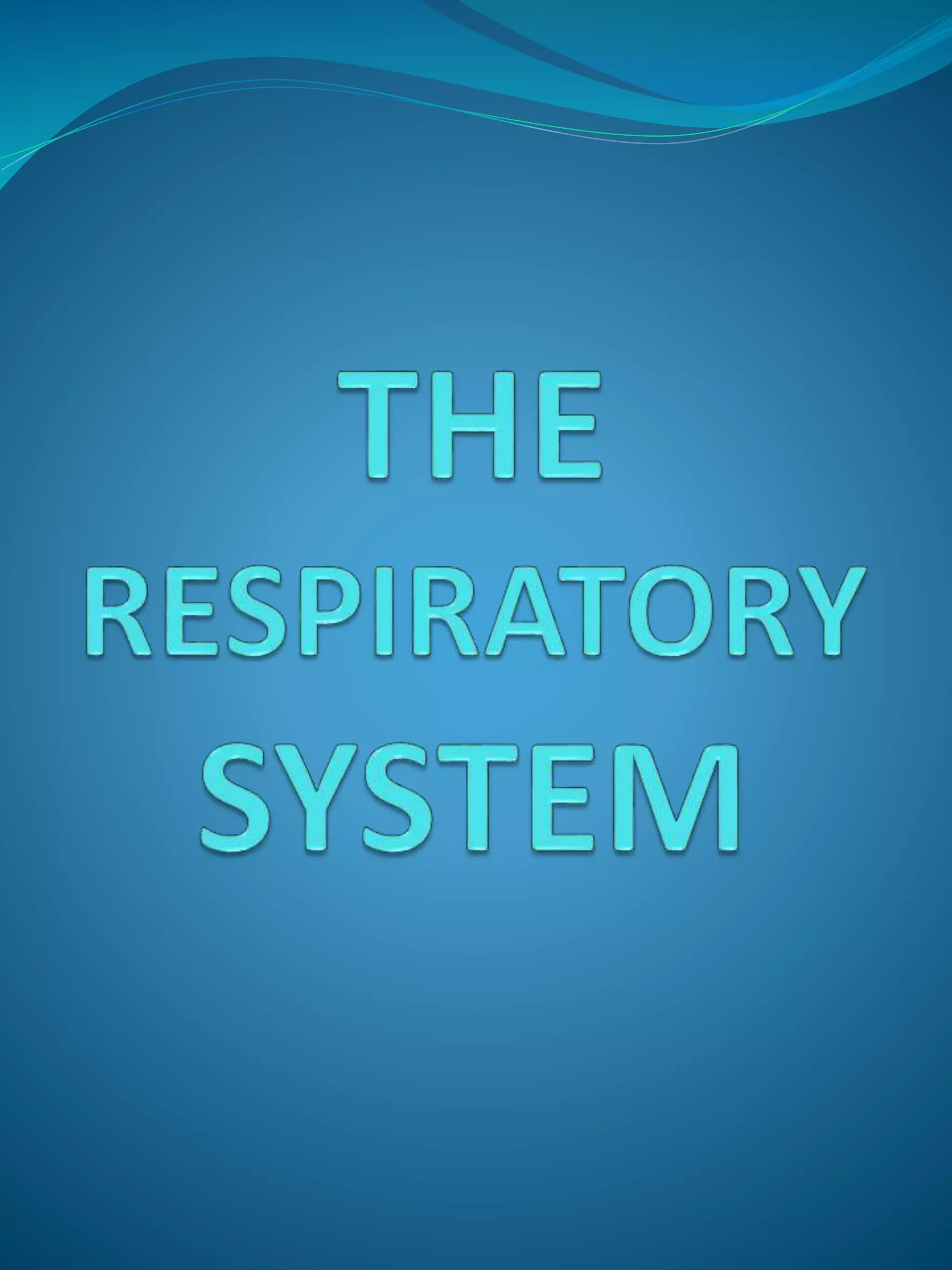 The respiratory system | PPTX