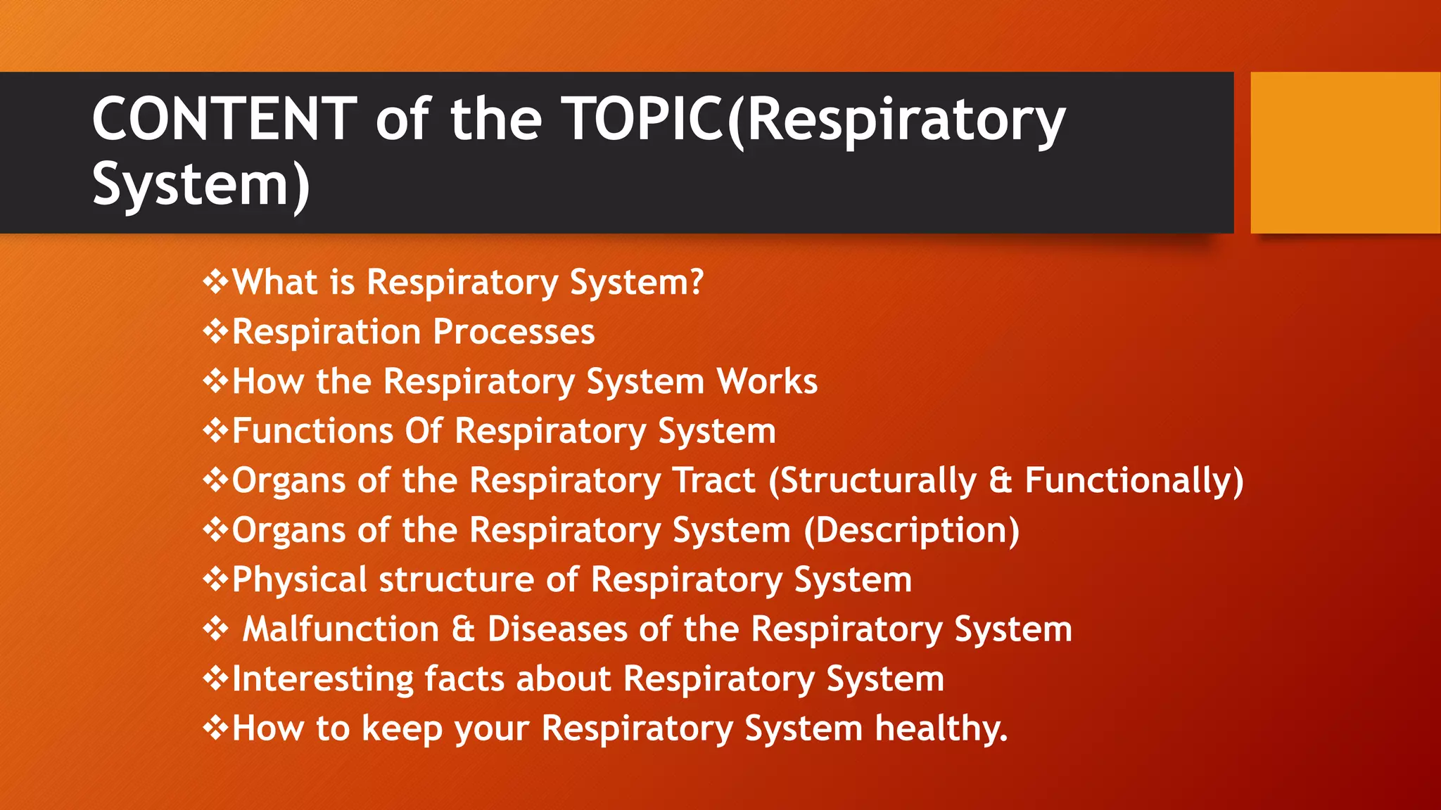 The Respiratory System | PPTX