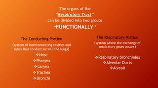 The Respiratory System | PPTX