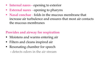 The Respiratory System | PPTX