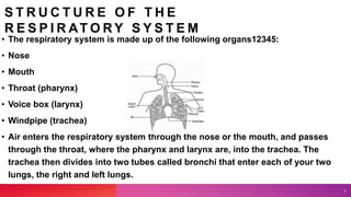 THE RESPIRATORY SYSTEM.pptxx for grade 8 | PPTX