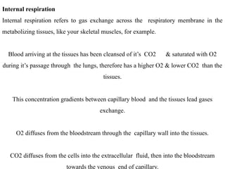 The Respiratory System: Anatomy, Functions, and Importance | PPTX
