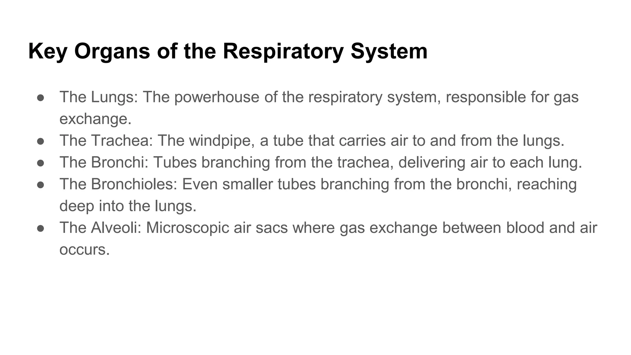 The Respiratory System- Anatomy & Physiology.pptx