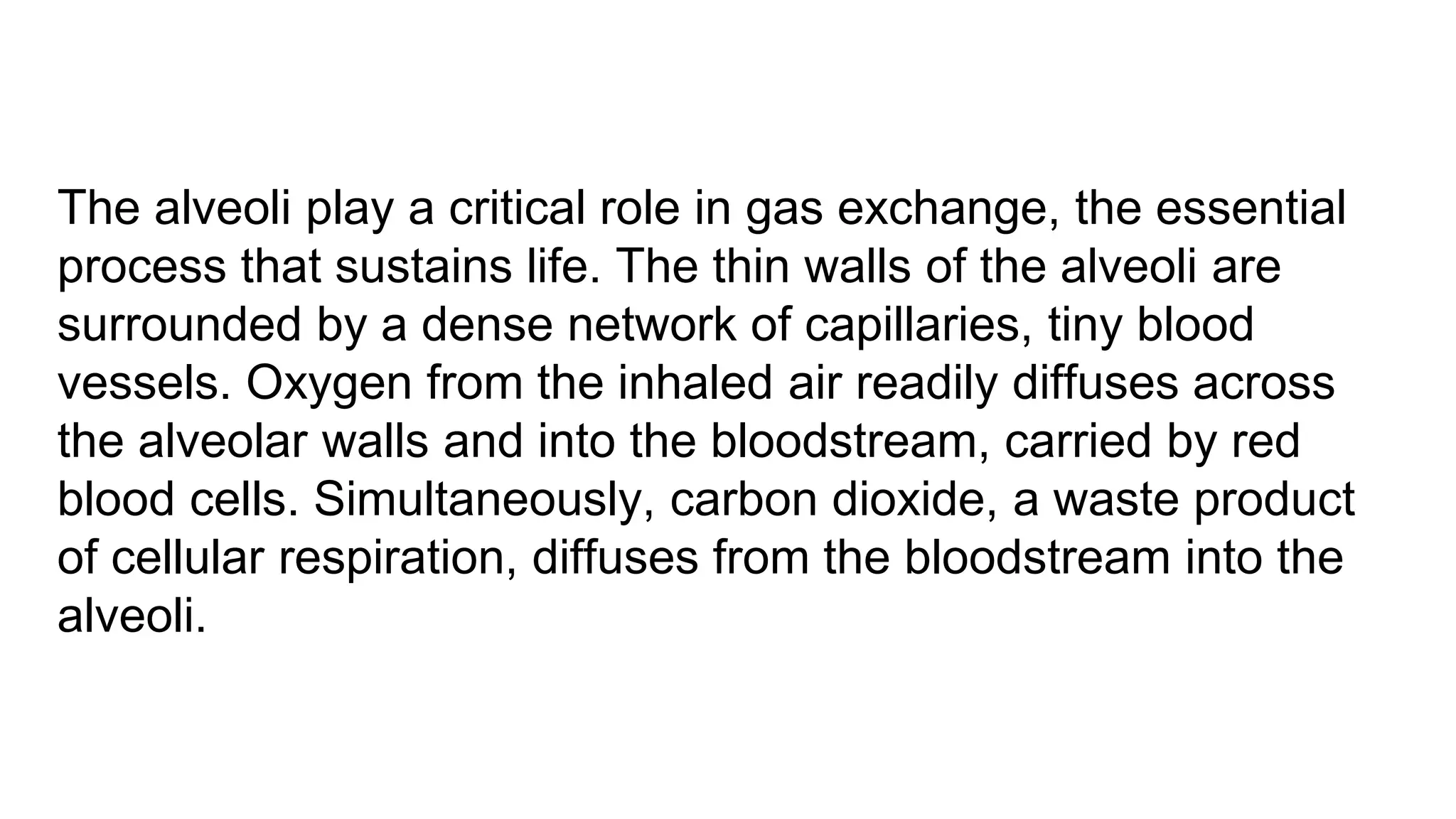 The Respiratory System- Anatomy & Physiology.pptx