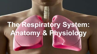 The Respiratory System- Anatomy & Physiology.pptx