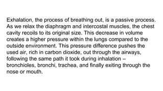 The Respiratory System- Anatomy & Physiology.pptx