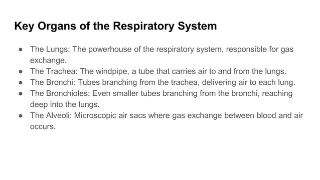 The Respiratory System- Anatomy & Physiology.pptx