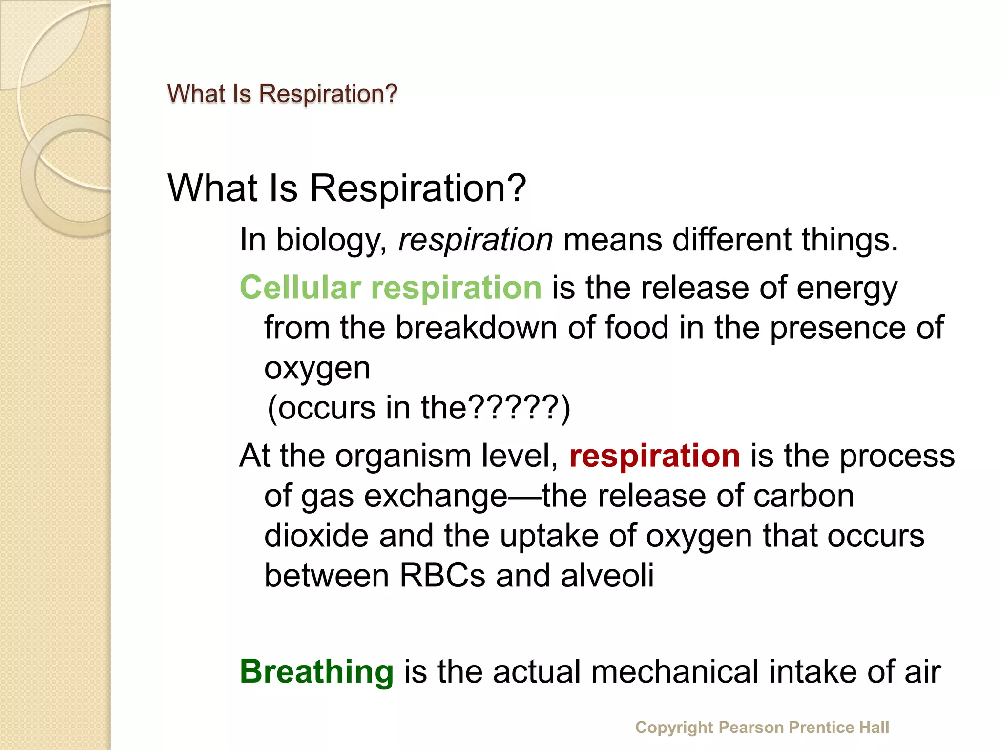 The respiratory system by sujeet | PPT
