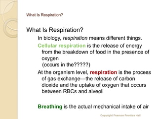 The respiratory system by sujeet | PPT
