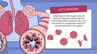 The Respiratory System Educational Presentation in Blue, Yellow, and ...
