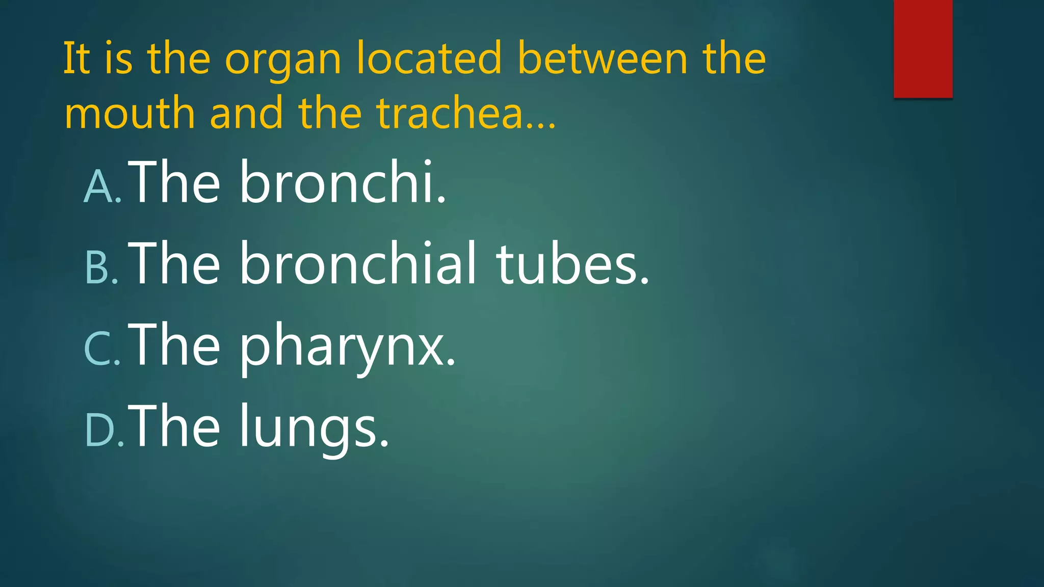 The respiratoy system abcd | PPT