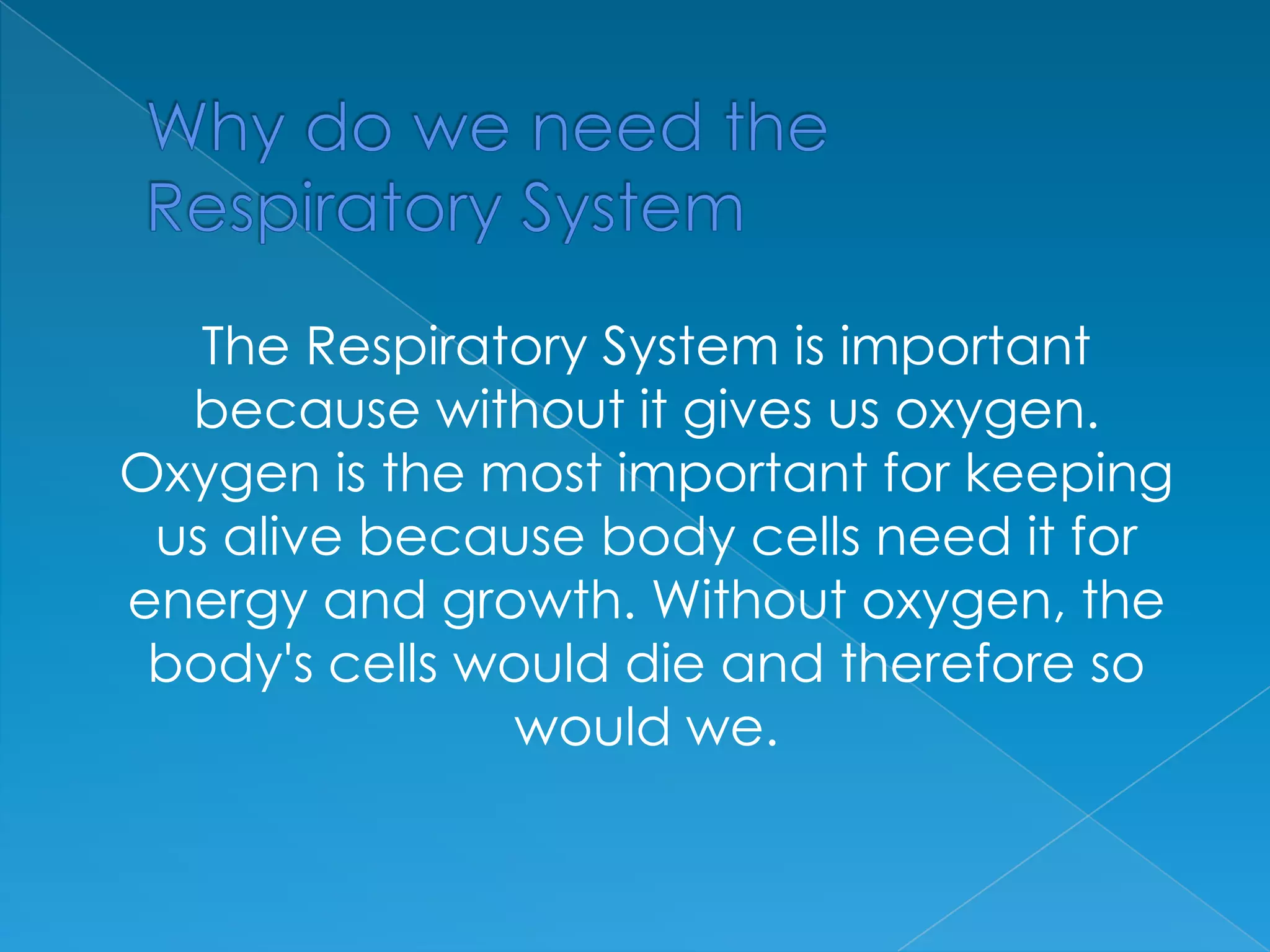 The respitory system | PPTX