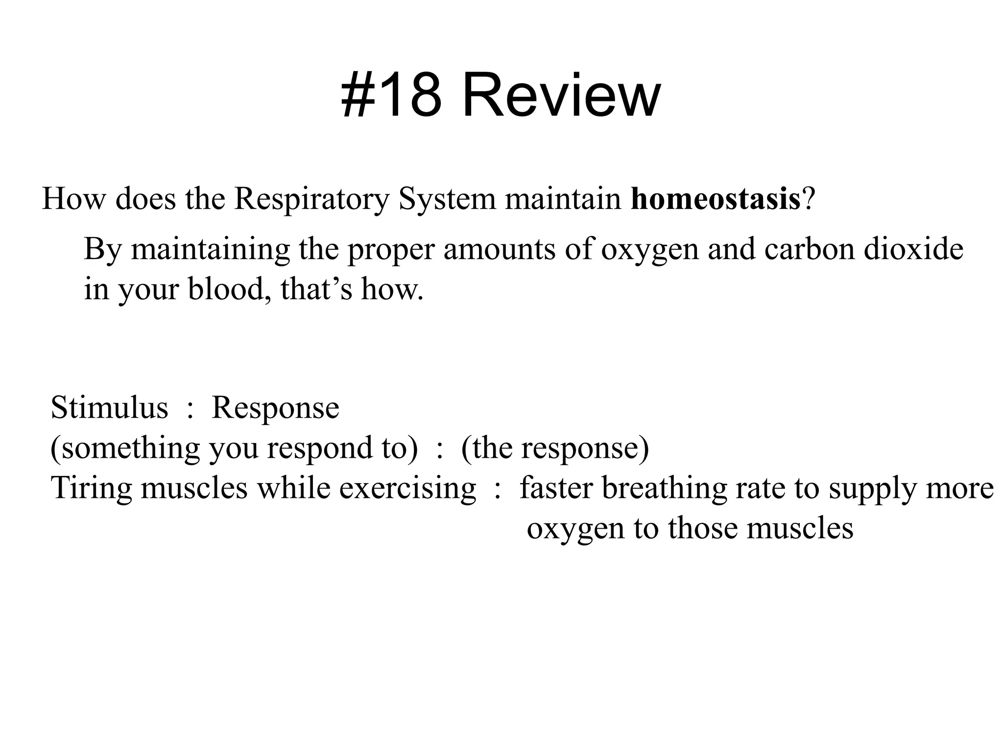 The Respitory System.ppt | Lung and Respiratory Health | Diseases and ...