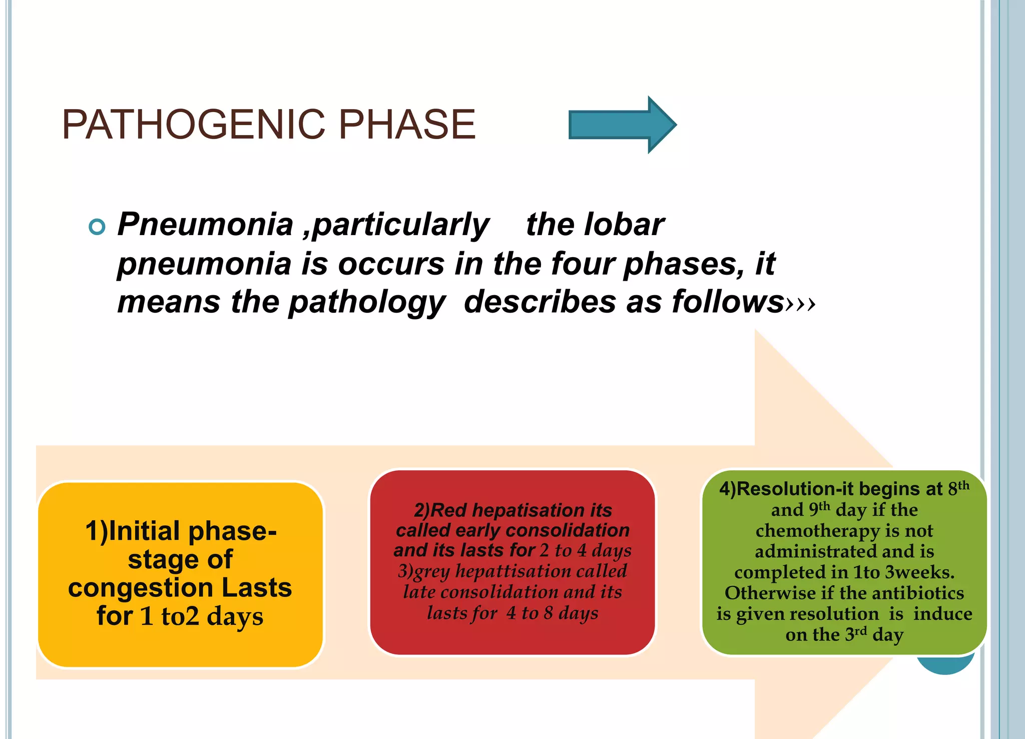 The respiratory system - Pneumonia | PPTX