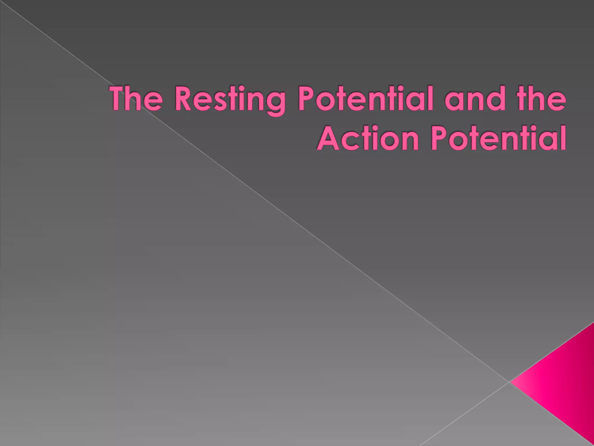 The Resting Potential And The Action Potential | PPTX