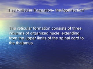 HIS 120 The Reticular Formation: the Connection | PPT
