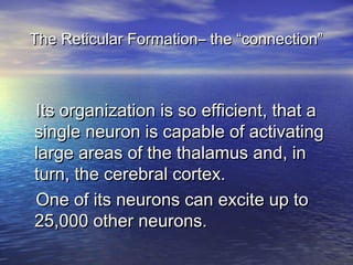 HIS 120 The Reticular Formation: the Connection | PPT