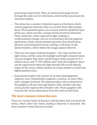 The retina how it works | PDF