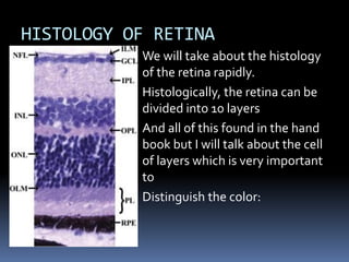 Retina Slide