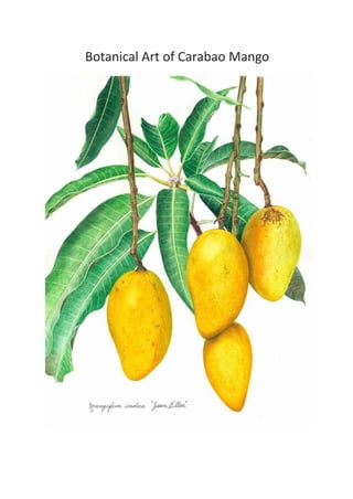 Puno Ng Mangga Drawing