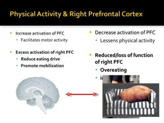 The Right Brain Hypothesis For Obesity (2) | PPT