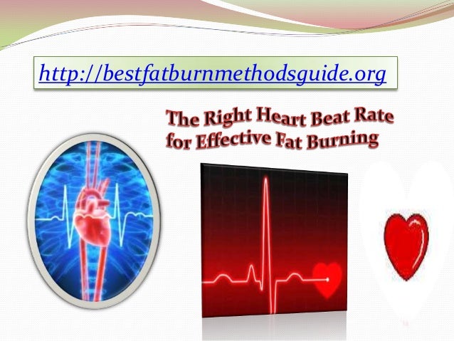 The Right Heart Beat Rate For Effective Fat Burning
