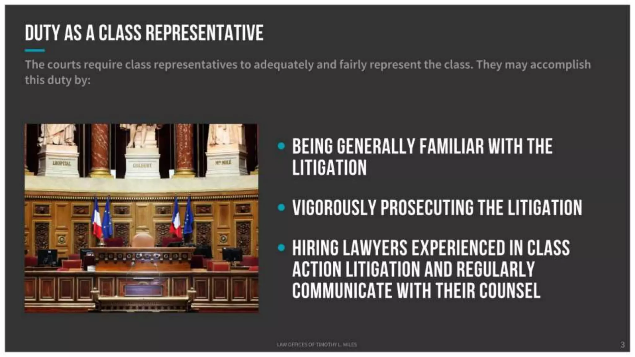 The Rights and Responsibilities of a Class Representative | PPTX