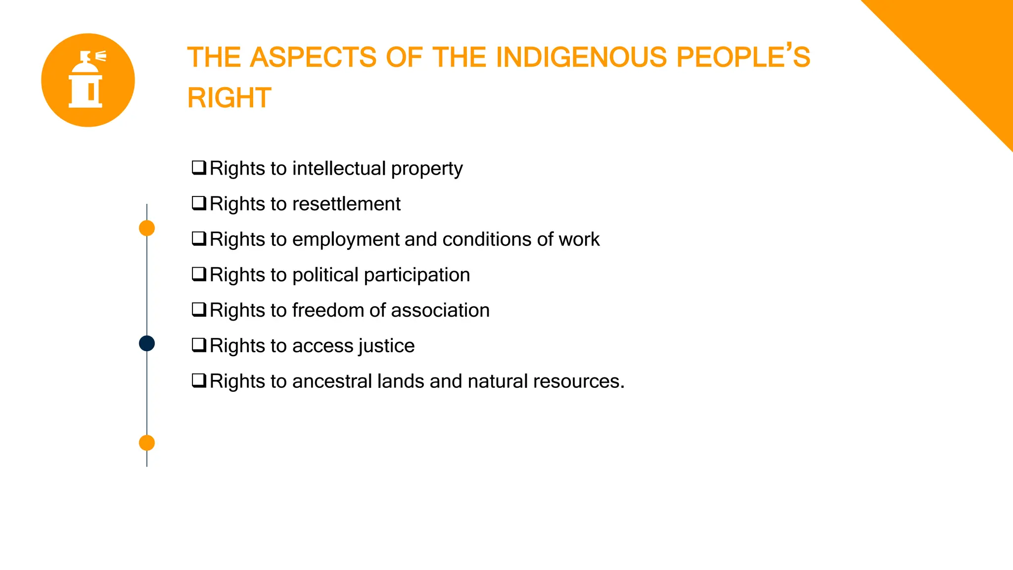 The rights of the Indigenous People.pptx