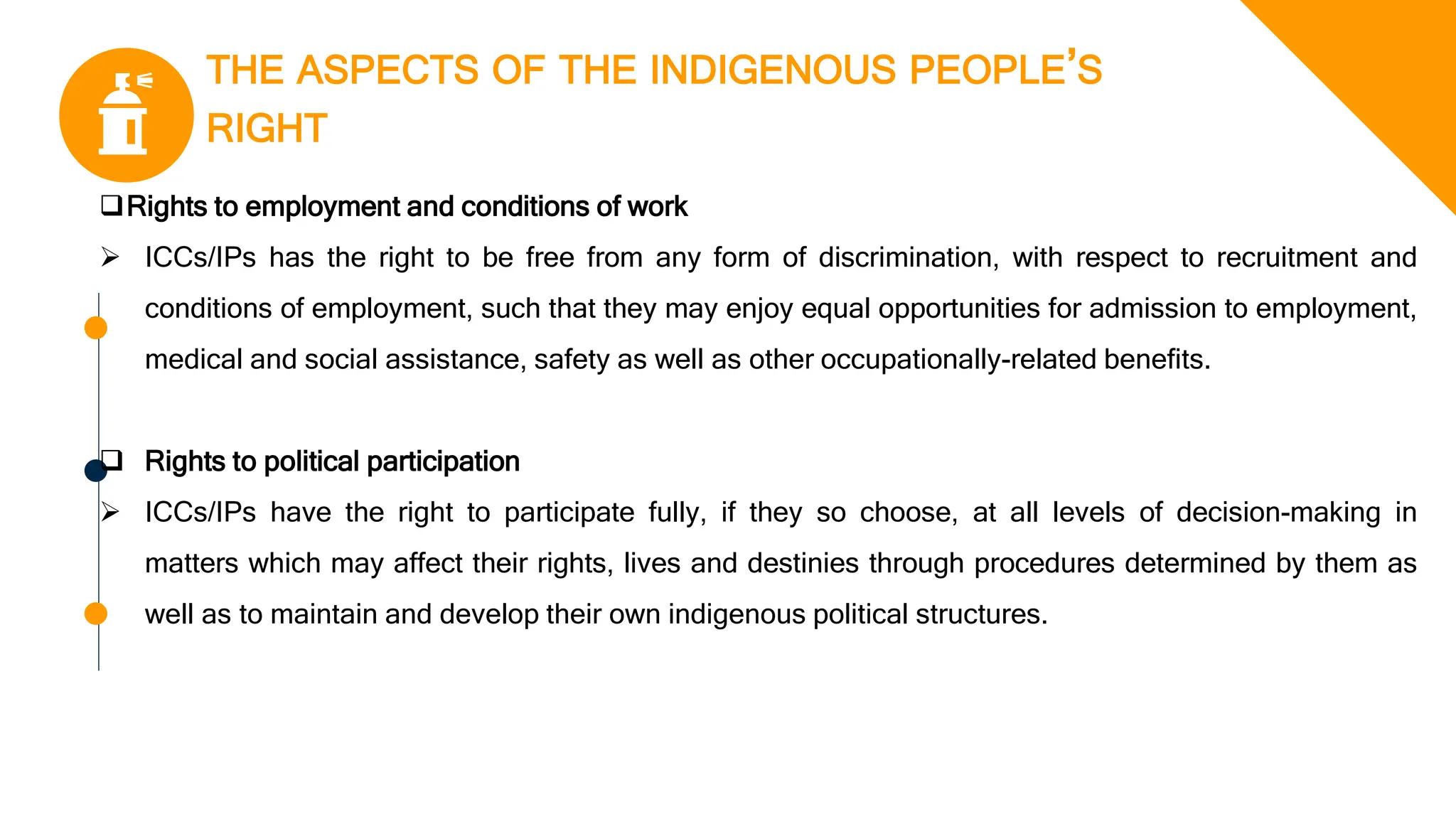 The rights of the Indigenous People.pptx