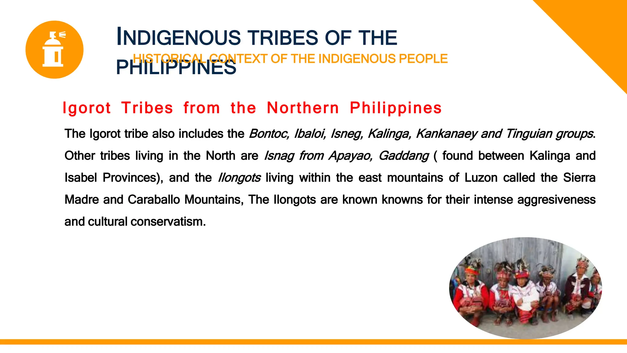 The rights of the Indigenous People.pptx