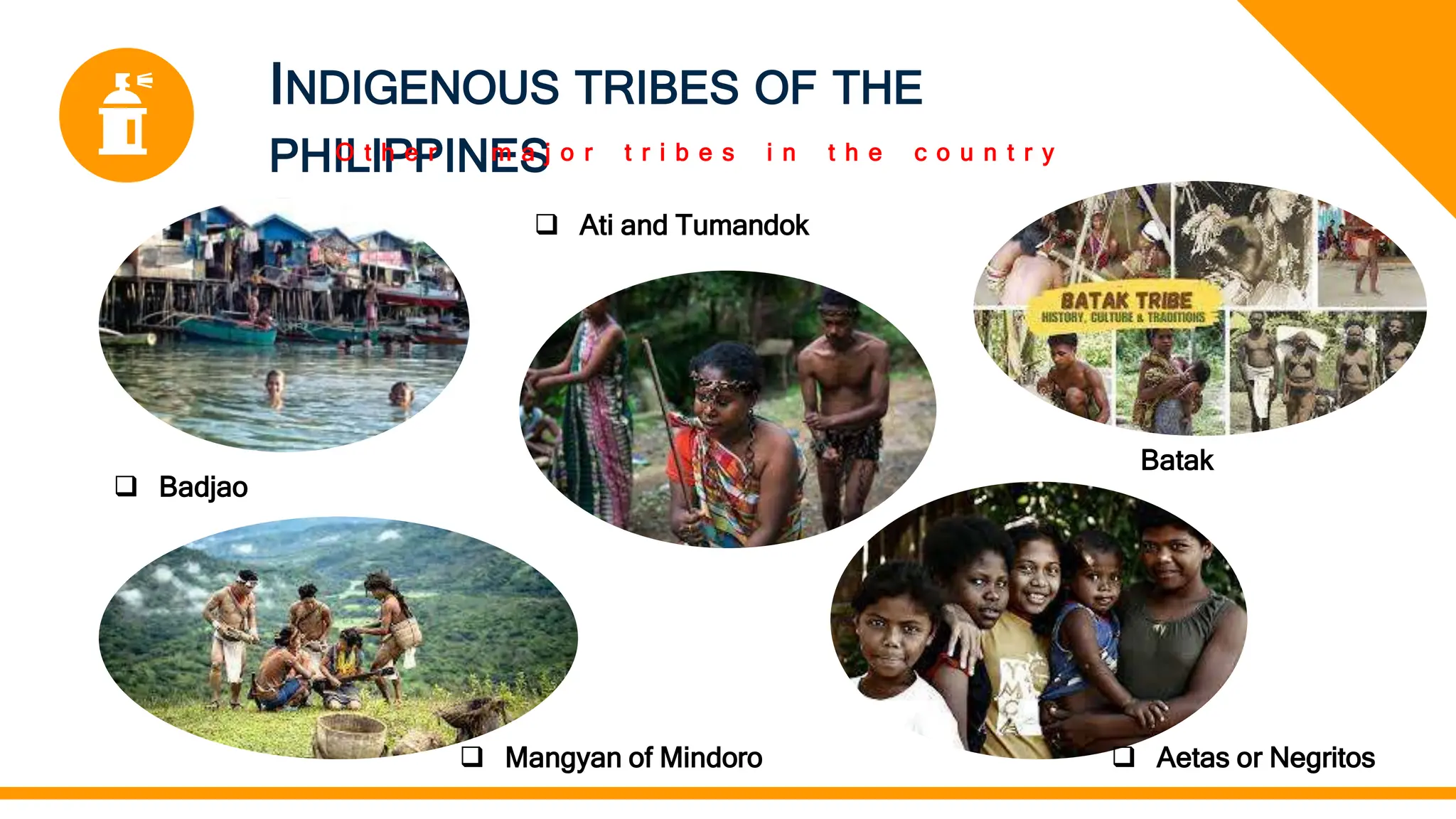The rights of the Indigenous People.pptx