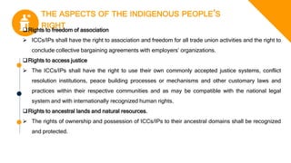 The rights of the Indigenous People.pptx