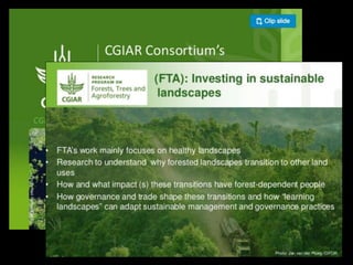 The Right to Food? Protected areas, access and food security | PPT