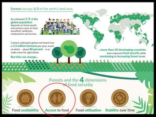 The Right to Food? Protected areas, access and food security | PPT