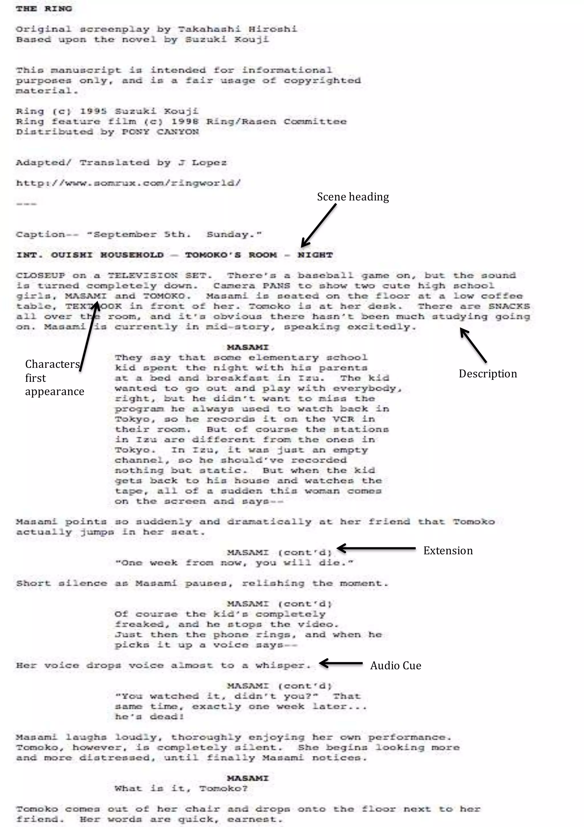 The ring script annotation | DOCX