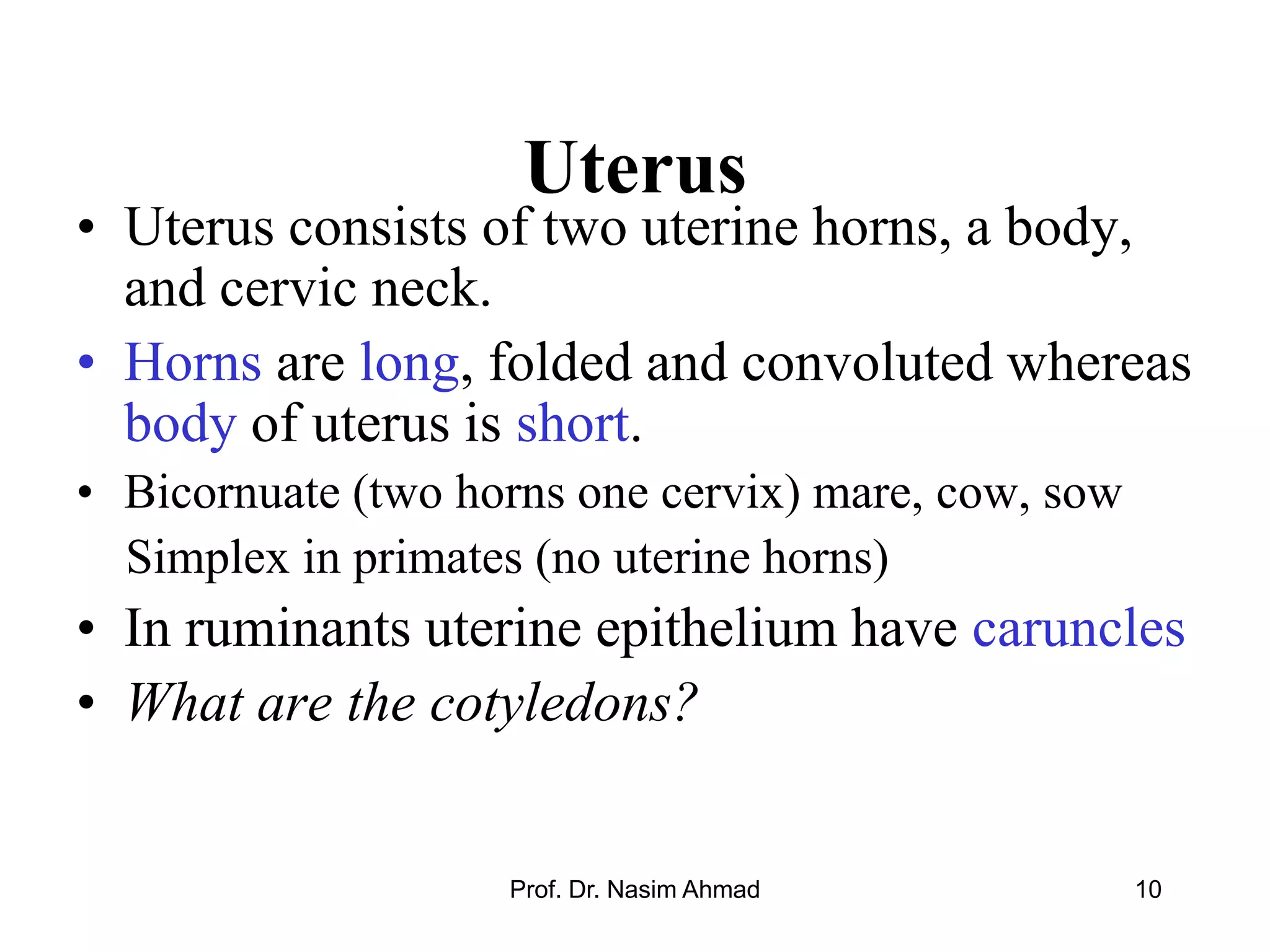 THERIO-Female and Male Anatomy.pdf