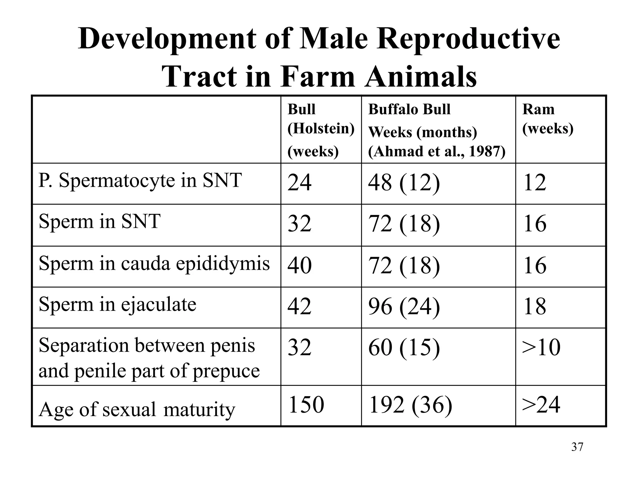 THERIO-Female and Male Anatomy.pdf