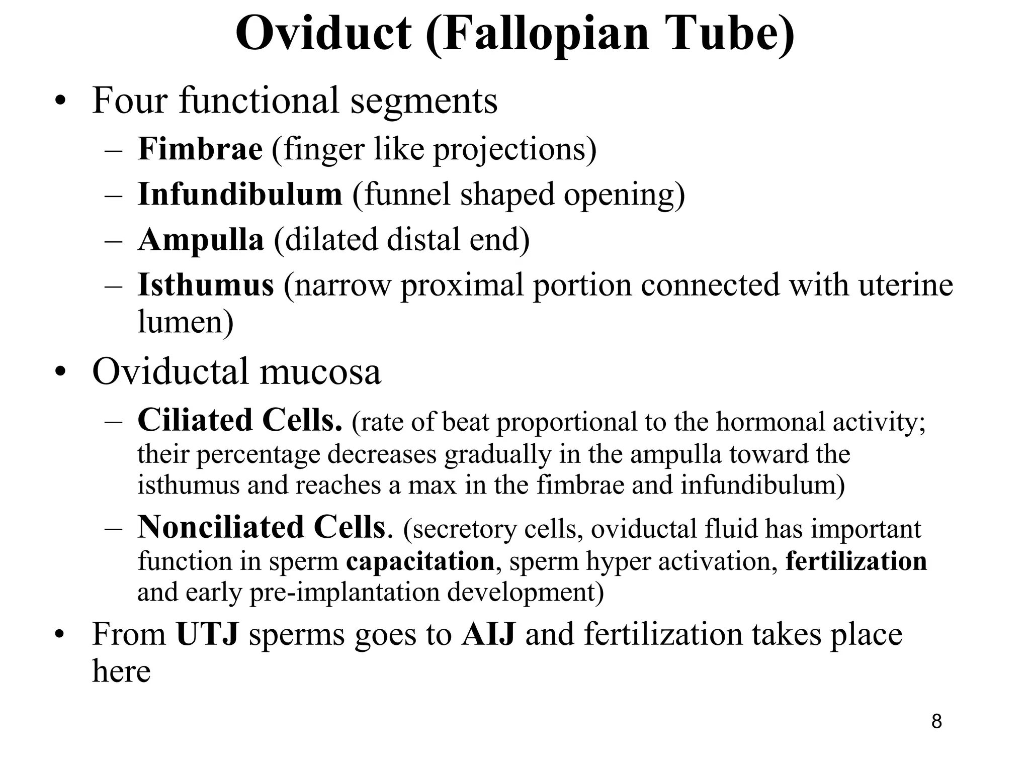 THERIO-Female and Male Anatomy.pdf