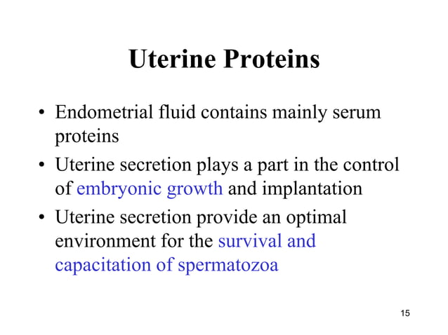 THERIO-Female and Male Anatomy.pdf