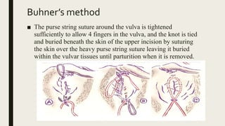 Theriogenology | PPTX