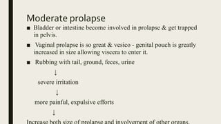 Theriogenology | PPTX